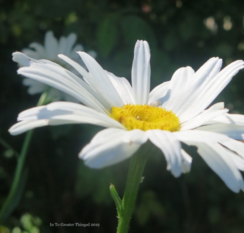 A Fresh Start – In to Greater Things